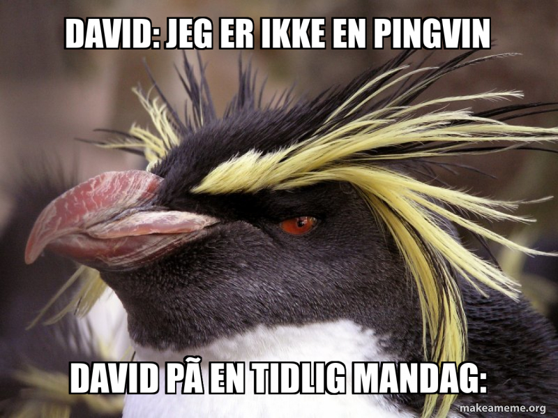 David: jeg er ikke en pingvin david på en tidlig mandag: Meme Generator