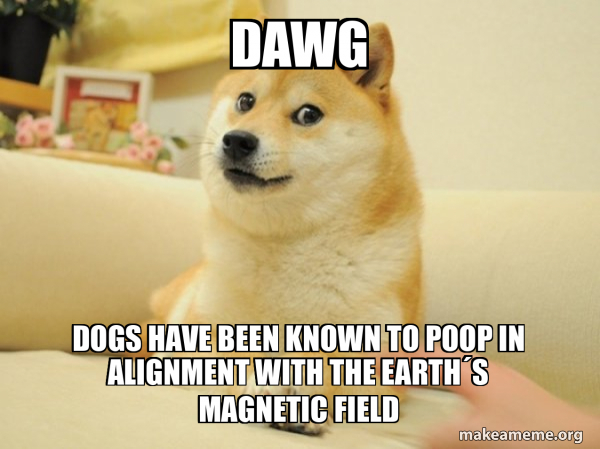 dawg Dogs have been known to poop in alignment with the Earth´s ...