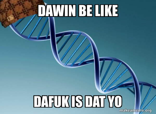 Dawin be like dafuk is dat yo - Scumbag Genetics Meme Generator