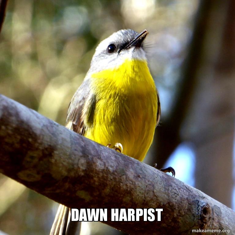 Dawn Harpist Meme Generator