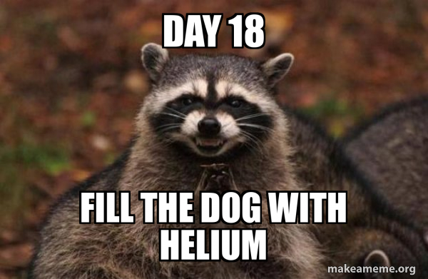Day 18 Fill the dog with helium - Evil Plotting Raccoon Meme Generator