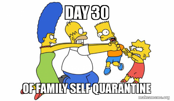 DAy 30 of Family Self Quarantine Meme Generator