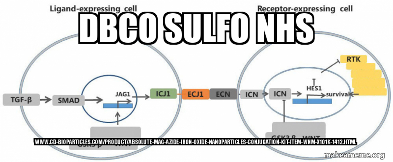 dbco sulfo nhs www.cd-bioparticles.com/product/absolute-mag-azide-iron-oxide-nanoparticles ...