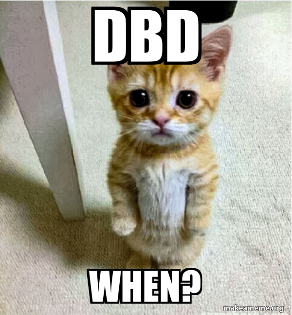 DBD WHEN? - Cute Cat Standing Meme Generator