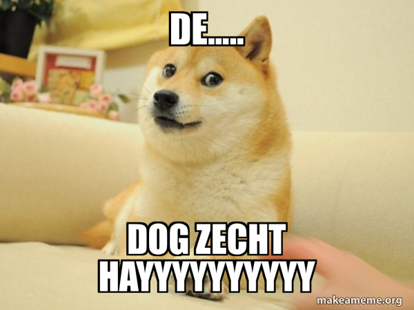 de..... dog zecht hayyyyyyyyyy - Doge Meme Generator