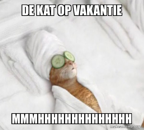 De kat op vakantie mmmhhhhhhhhhhhhhh - Pampered Cat Meme Meme Generator