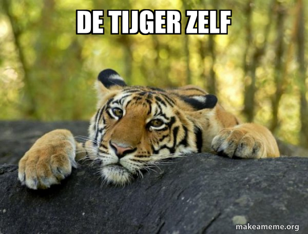 de tijger zelf - Confession Tiger Meme Generator