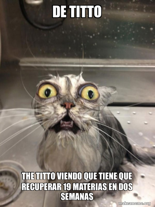 de titto the titto viendo que tiene que recuperar 19 materias en dos ...