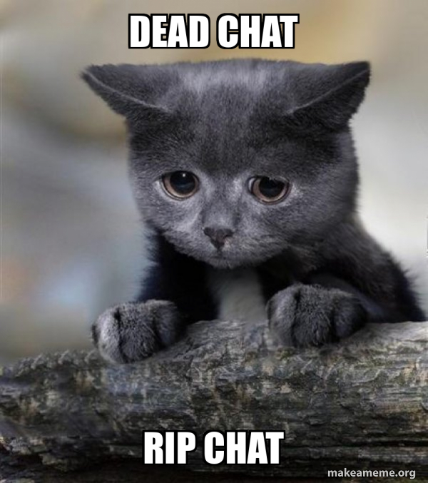 DEAD CHAT RIP CHAT - Confession Cat Meme Generator