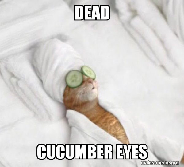 dead cucumber eyes - Pampered Cat Meme Meme Generator