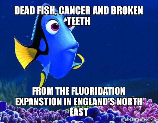 Rotten Fish Memes Bad Day Of Fishing? Not Gonna Happen Fishermen