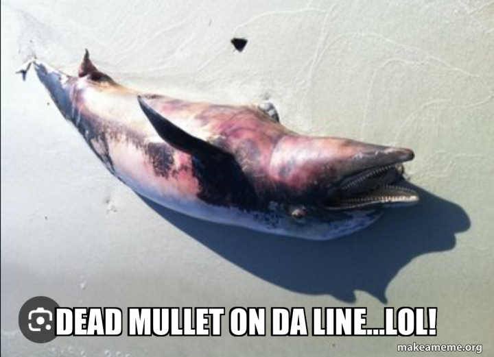 DEAD MULLET ON DA LINE...LOL! Meme Generator