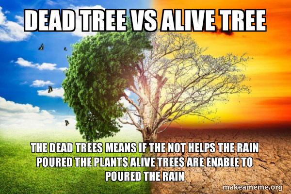 Dead Tree Memes The 2nd One. The Guy Was Aiming For The House , #tree