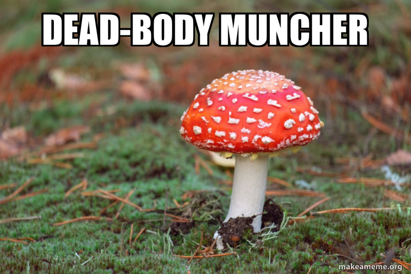 dead-body muncher Meme Generator