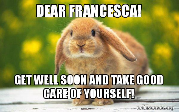 Franciska Memes Francesca Hedgehog Thanks So Much Card – Catherine
