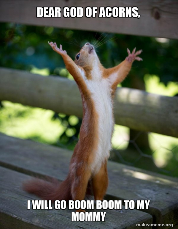 Dear god of Acorns, I WILL GO BOOM BOOM TO MY MOMMY - Happy Squirrel ...