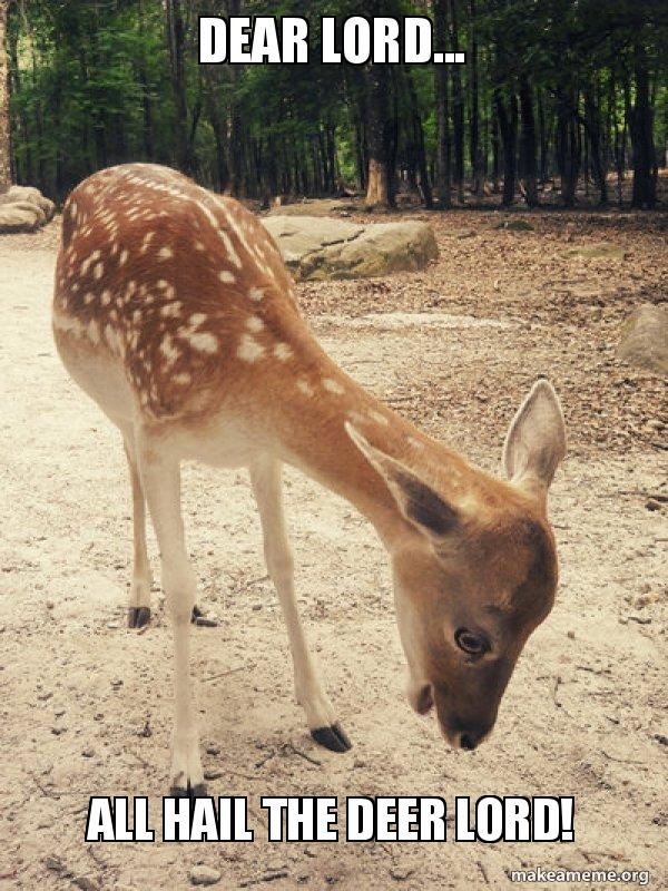 Dear lord... All hail the deer lord! - O M G Deer Meme Generator
