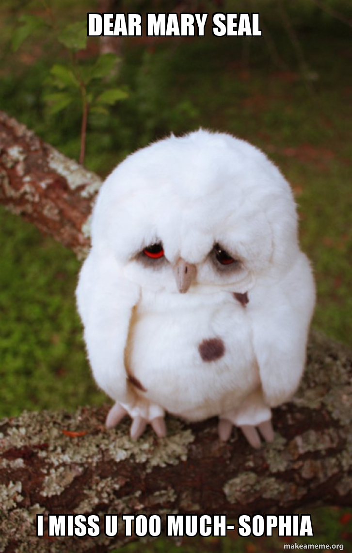 Dear Mary Seal I miss u too much- Sophia - Sad Owl Meme Generator
