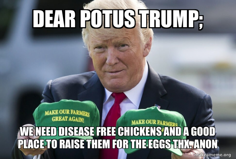 Dear potus trump; we need disease free chickens and a good place to ...