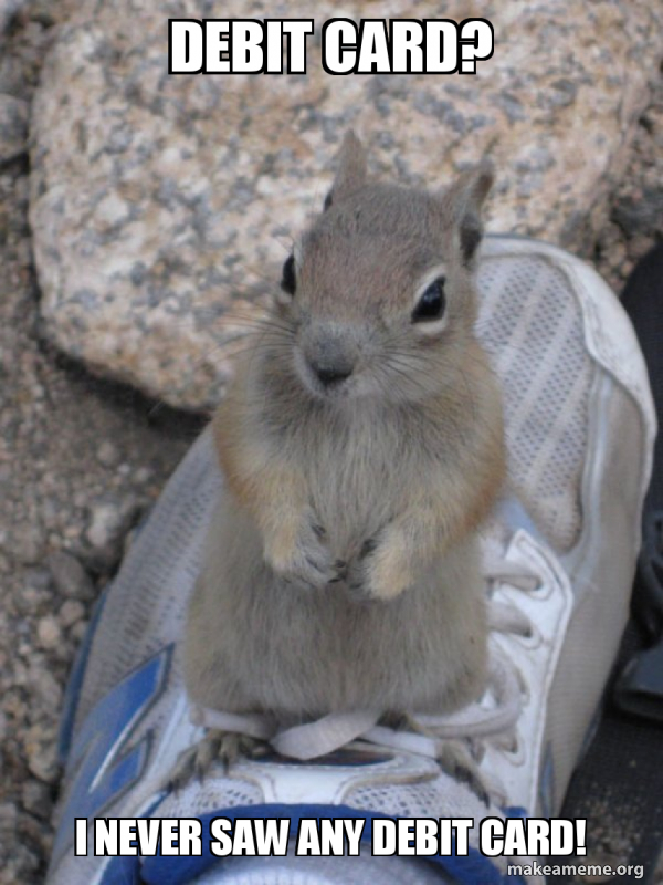 debit card? I never saw any debit card! - Standover Squirrel Meme Generator