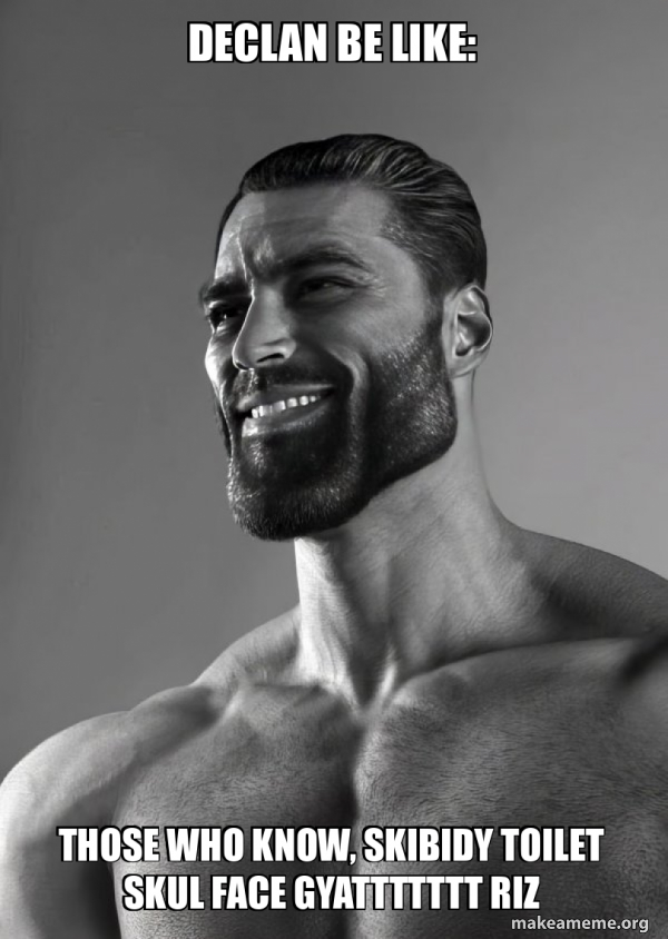 Declan be like: Those who know, skibidy toilet skul face gyattttttt riz ...