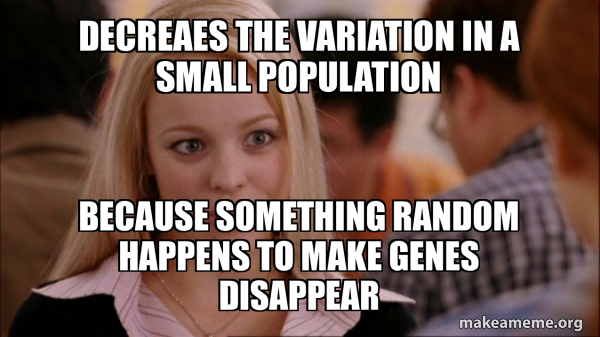 DECREAES the variation in a small population because something RANDOM ...