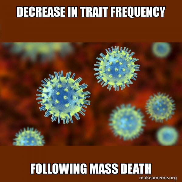 decrease in trait frequency following mass death - Coronavirus ( COVID ...