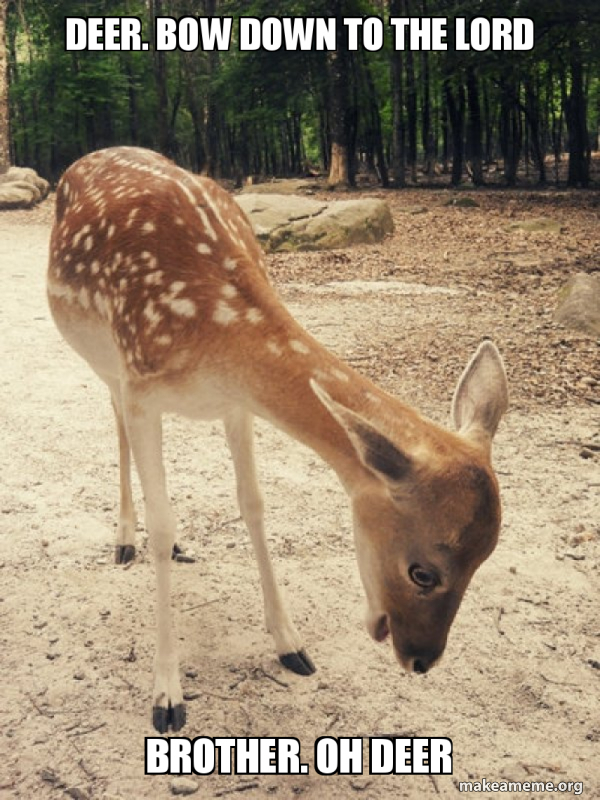 deer. bow down to the lord brother. OH DEER - O M G Deer Meme Generator
