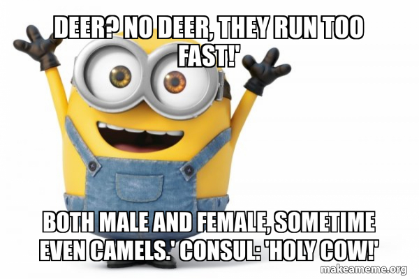 Deer? No deer, they run too fast!' Both male and female, sometime even ...