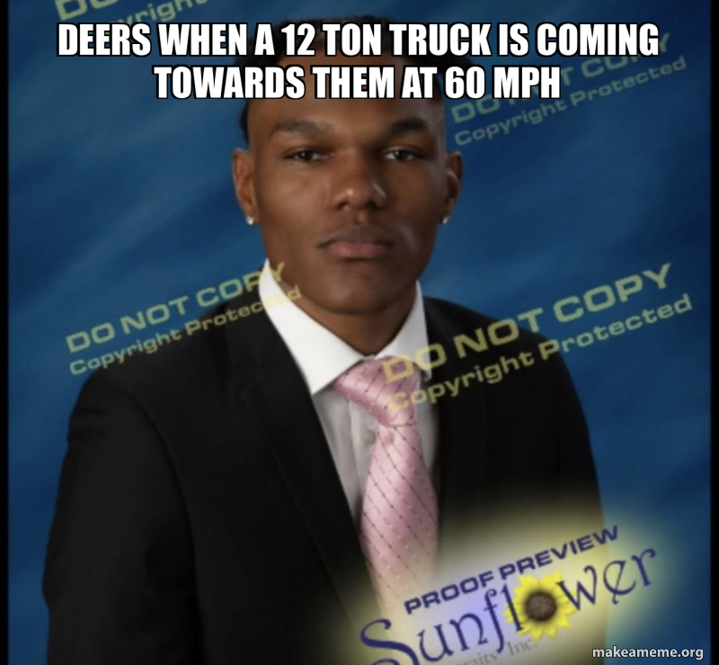 Deers when a 12 ton truck is coming towards them at 60 mph Meme Generator