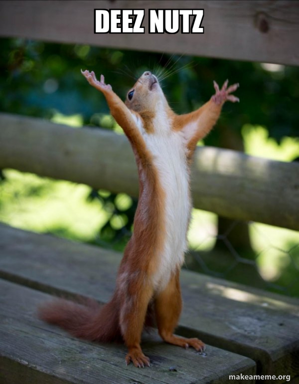 DEEZ NUTZ - Happy Squirrel Meme Generator