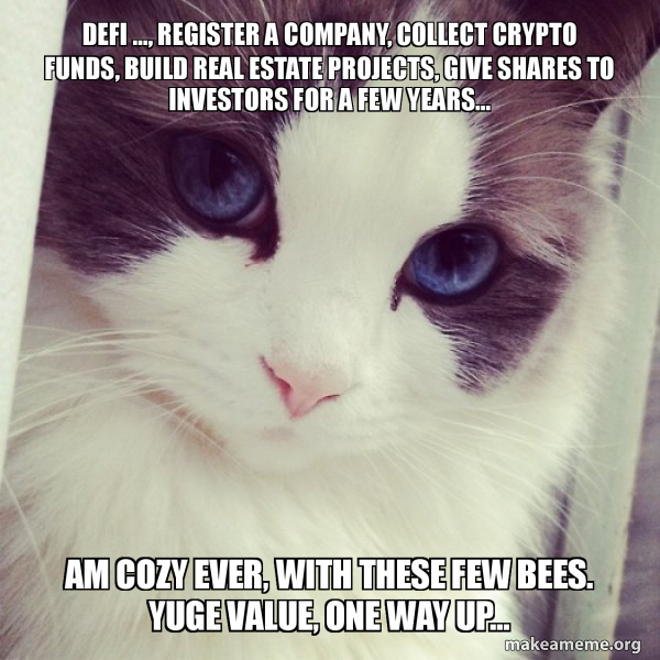 DeFi ..., Register a Company, Collect Crypto Funds, Build Real Estate ...