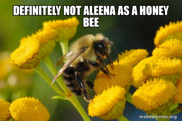 Definitely not Aleena as a honey bee - Good Guy Bee Meme Generator