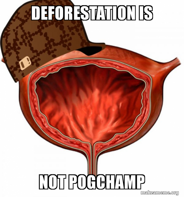 deforestation is not pogchamp - Scumbag Bladder Meme Generator