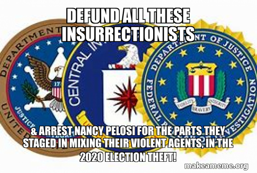 defund all these insurrectionists & arrest nancy pelosi for the parts ...