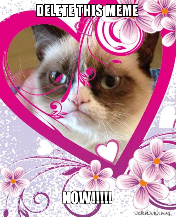delete this meme NOW!!!!! - Grumpy cat Valentines Day Meme Generator