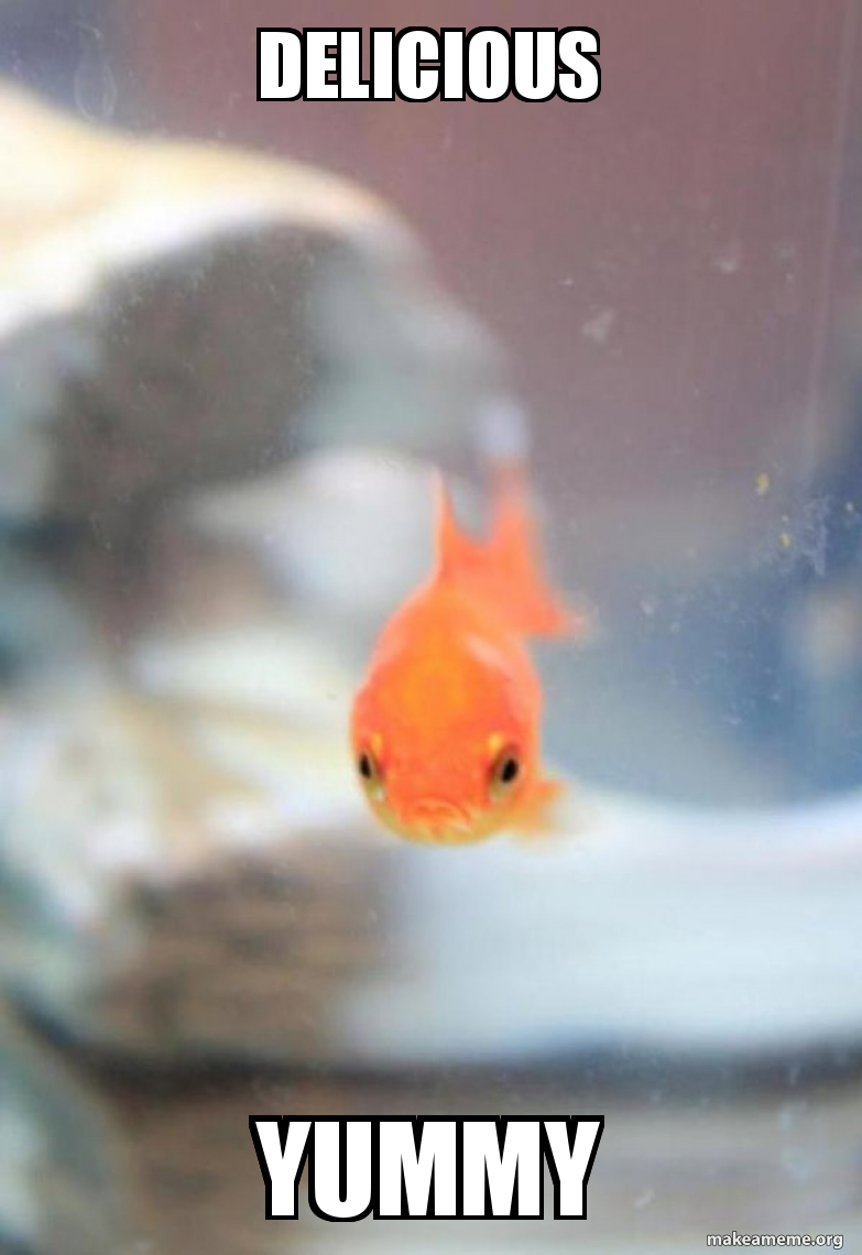 delicious yummy - Grumpy Fish Meme Generator
