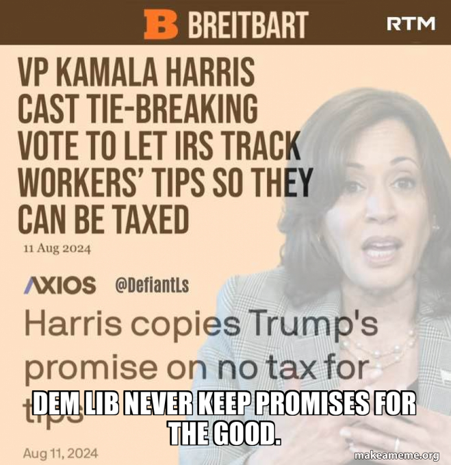 dem lib never keep promises for the good. Meme Generator