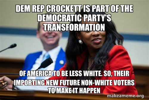 DEM REP CROCKETT IS PART OF THE DEMOCRATIC PARTY'S TRANSFORMATION OF ...