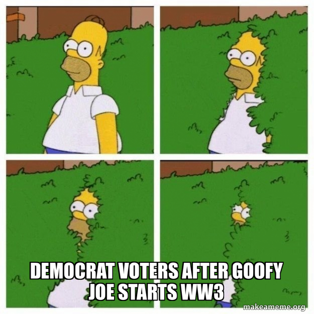 democrat voters after goofy joe starts ww3 Meme Generator