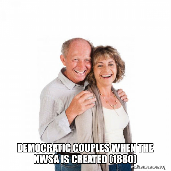Democratic couples when the NWSA is created (1880) - Baby Boomers Meme ...