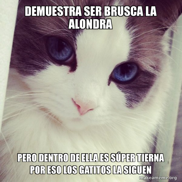 Demuestra ser brusca la Alondra Pero dentro de ella es sÃºper tierna ...