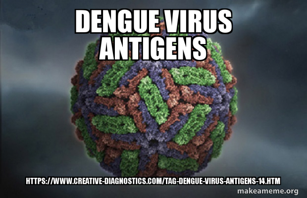 Dengue Virus Antigens https://www.creative-diagnostics.com/tag-dengue ...