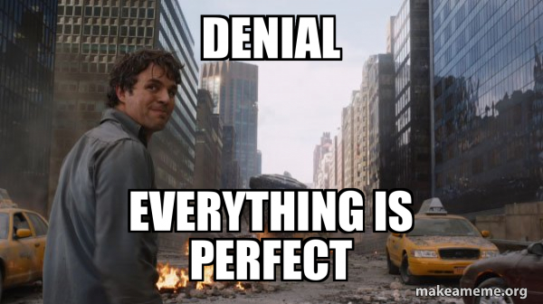 Denial Everything is Perfect - That's My Secret Meme Generator