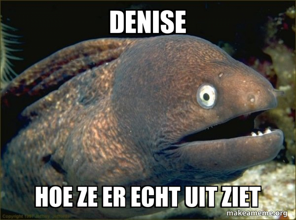 Denise hoe ze er echt uit ziet - Bad Joke Eel Meme Generator