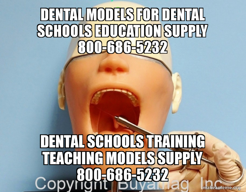 dENTAL MODELS FOR DENTAL SCHOOLS EDUCATION SUPPLY 800-686-5232 dENTAL ...