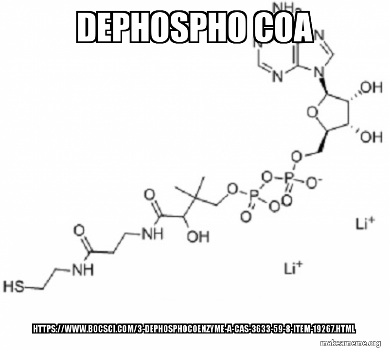 Dephospho CoA https://www.bocsci.com/3-dephosphocoenzyme-a-cas-3633-59 ...