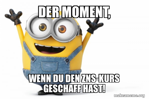 Der Moment, wenn Du den ZNS-Kurs geschaff hast! - Happy Minion Meme ...