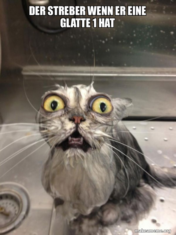 Der Streber wenn er eine glatte 1 hat - Cat bath Meme Generator