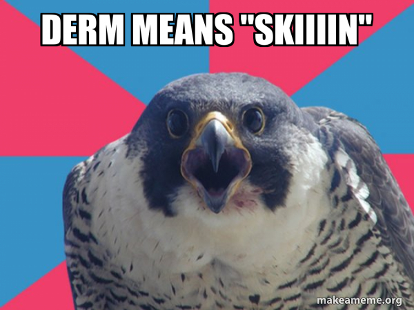 Derm means "skiiiin" - Millennial Falcon | Make a Meme